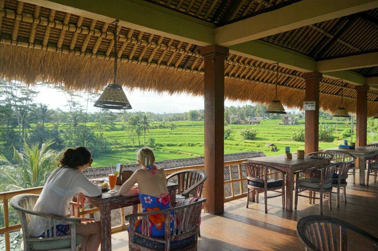 Exploring the Best 10 Rice Terraces in Bali