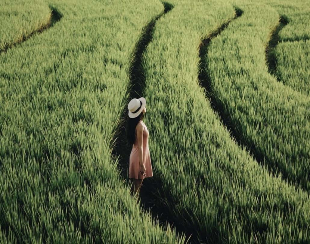 Exploring the Best 10 Rice Terraces in Bali