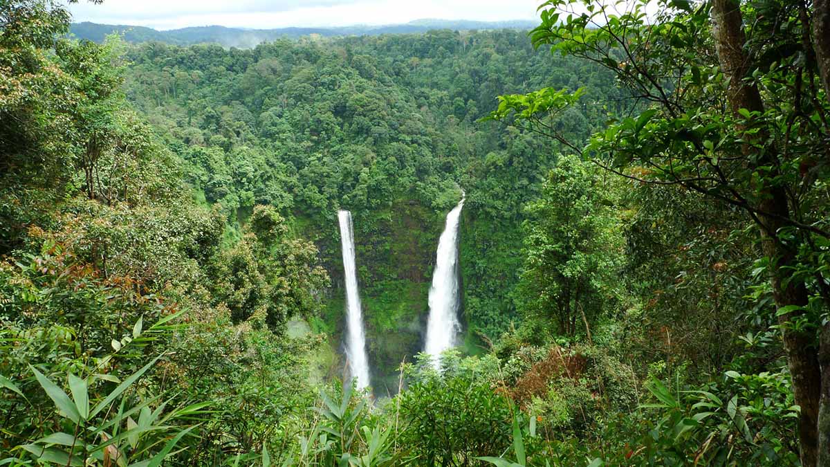 Top 10 National Parks In Laos: Whereabouts And What Do Do