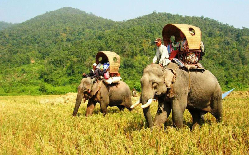 Best Time To Visit Laos - Unlocking the Ideal Season