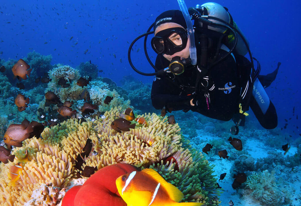 Diving In Phu Quoc: Types, Top Dive Spots & Advice