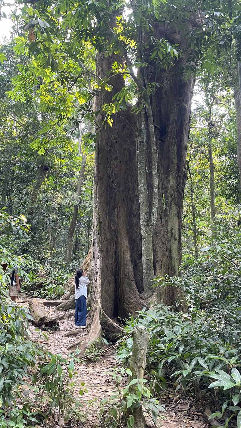 Hiking Trails Near Hanoi: 5 Stunning Natural Locations