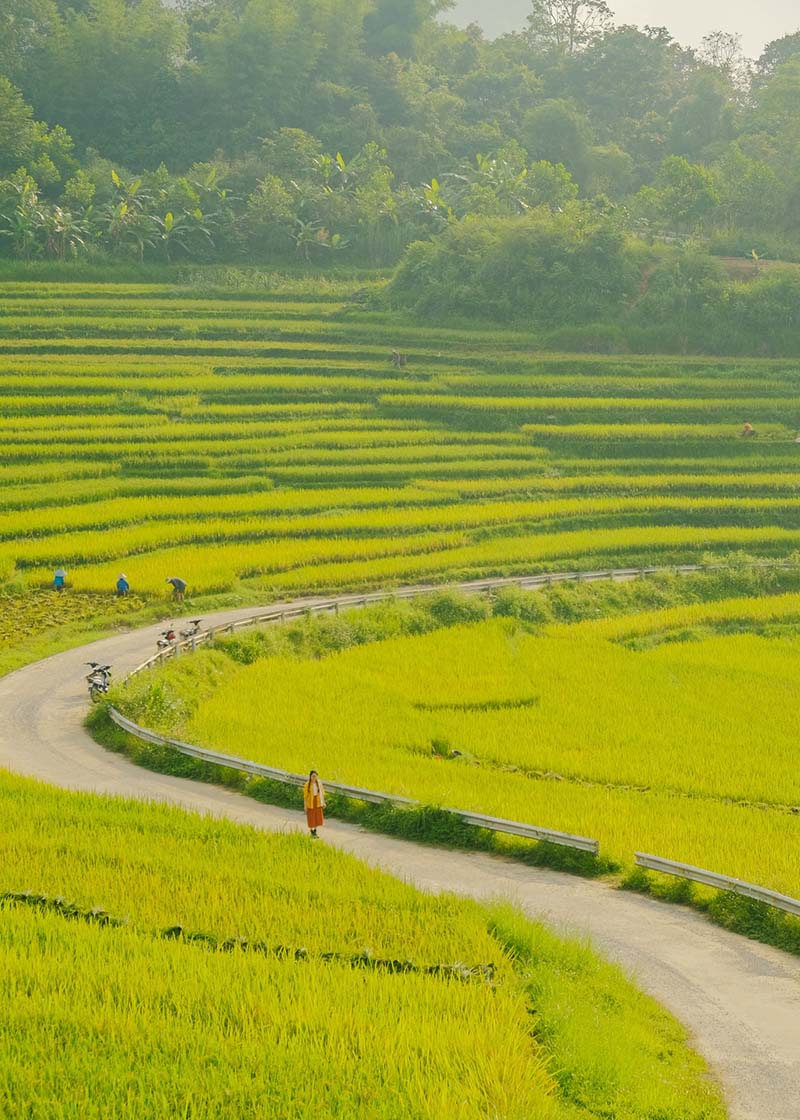Hiking Trails Near Hanoi: 5 Stunning Natural Locations